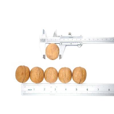 Amazon venta caliente venta total China nueces orgánicas 25 kg bolsas cumplen con los estándares de importación de Rusia con la mejor calidad