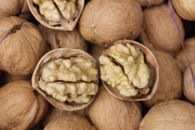 Cina Origgine fornitore di noce sostegno alle concessioni a prezzi diretti diretti ODM/OEM xin33 in vendita