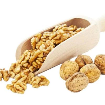 중국 중국어 중국어 원료 185 종이 월넛 쉐일 수출 러시아 맛있는 밝은 갈색 100% 자연 아마존 젤리 베스트셀러 제품 판매용