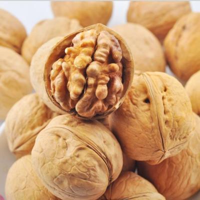 Venta al por mayor de nueces de alta calidad de Xinjiang xin2 exportadas al sudeste asiático OEM ODM productos más vendidos de Amazon