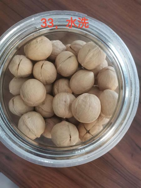 Quality dry fruits unwashed shelled 185 paper skin walnut Best price raw in china for sale