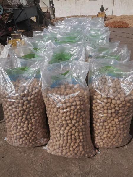 Quality dry fruits unwashed shelled 185 paper skin walnut Best price raw in china for sale