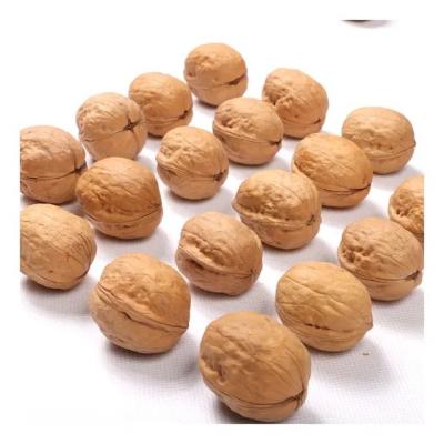 China Amazon Hot Sale Hochwertig Billig Großhandelspreis Trockene rohe Walnüsse zum Verkauf for sale