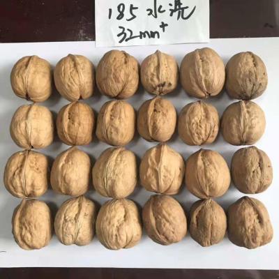 Cina Noci Best seller Produttore all'ingrosso Noci biologiche senza buccia in vendita