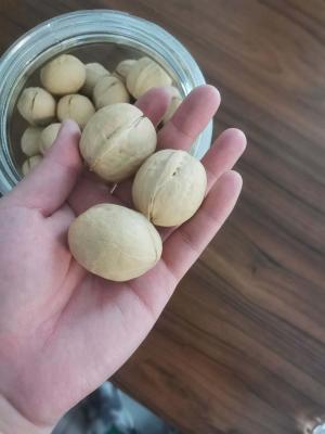 Cina Noci Best seller Produttore all'ingrosso Noci biologiche senza buccia in vendita