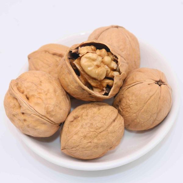 Quality China Bulk New Crop Hot Sale In Turkey Wal2023 China Bulk New Crop Hot Sale In for sale