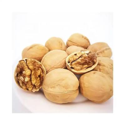 Cina Fabbrica all'ingrosso Vendita a caldo 185/33/xin2/xingfu noci in guscio a prezzo economico Prodotti agricoli venduti a caldo in vendita