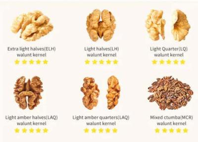 China Amazon’s best-selling products Premium Walnut Kernel Fresh Raw Shelled Walnut Halves And Pieces hot sale on Amazon for sale