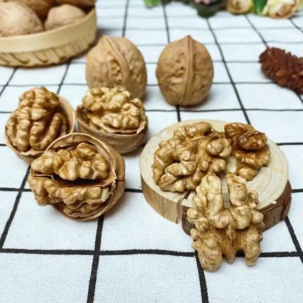 Quality China New Crop Hot Sale In Turkey From China Walnuts Kernel Halves Paper Shell for sale