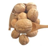 Quality Fresh Raw Xinjiang 185 Walnut Light Amber Color In Shell Wholesale Price For Sale Amazon’s best-selling products for sale