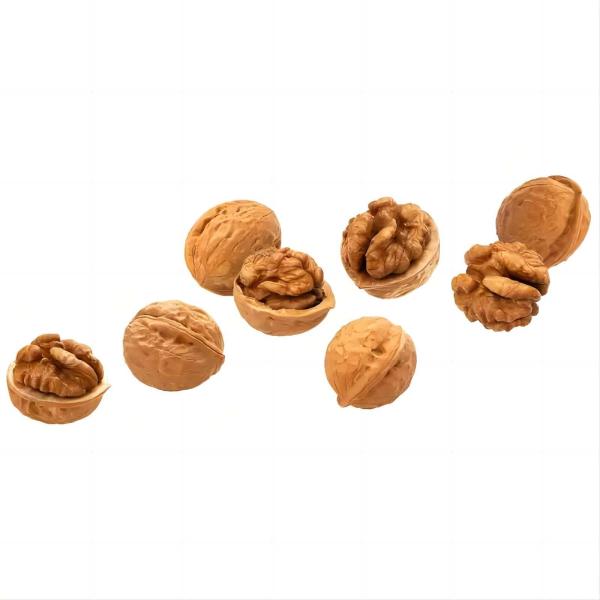Quality Fresh Raw Xinjiang 185 Walnut Light Amber Color In Shell Wholesale Price For for sale