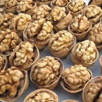 China 2% Max Broken Content Walnut Nut for Products for sale