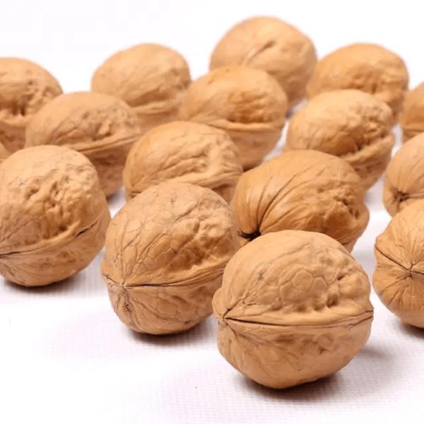 Quality Hot sale in Amazon cheap price thin skin 185 walnuts from Chinese factories for sale