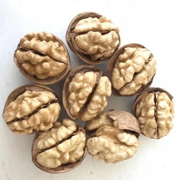Quality Top quality Thin-skin paper shell Walnut 185 with shell in bulk wholesale from for sale