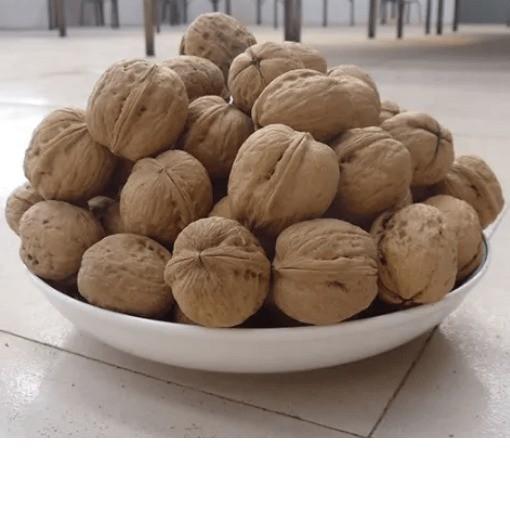 Quality Top quality Thin-skin paper shell Walnut 185 with shell in bulk wholesale from for sale