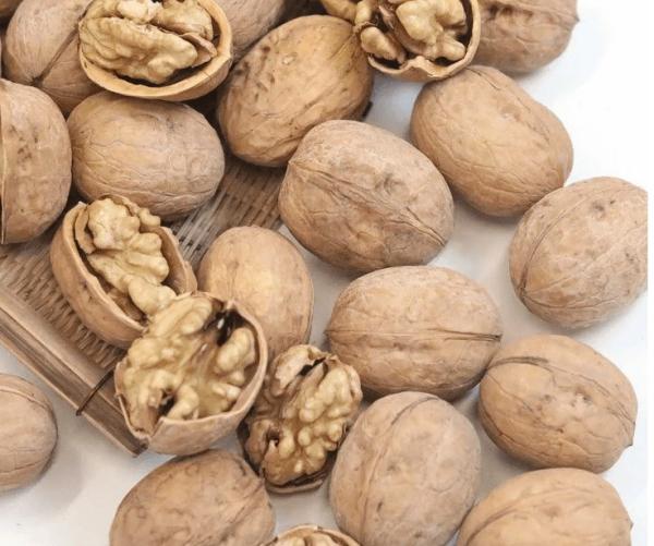 Quality Walnut wholesale price paper shell walnut thin shell Xinjiang walnut washed 185 for sale