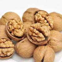 Quality Walnut Halves and Pieces Grown Walnuts Naturally Gluten Free No Preservatives Non-GMO Paper shell walnut 185 for sale