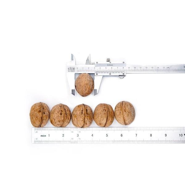 Quality Walnut Halves and Pieces Grown Walnuts Naturally Gluten Free No Preservatives for sale