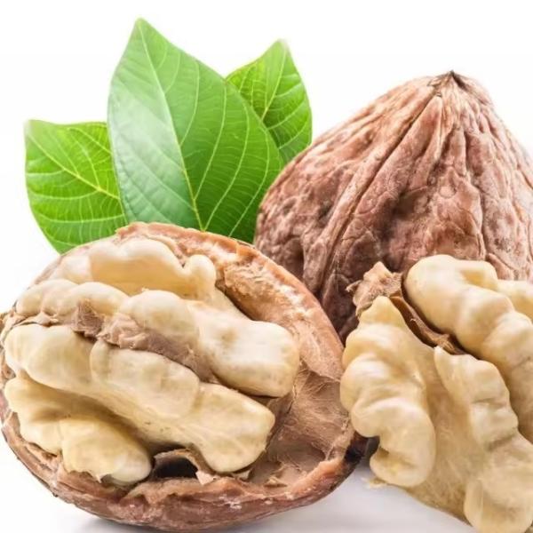 Quality Boost Your B2B Business with Walnut Kernel 33 Sourced from Trusted Suppliers for sale