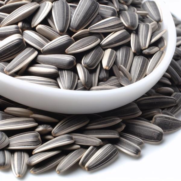 Quality Enhance Your Farming Efficiency with Sunflower Seeds S3 for sale