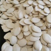 Quality Moisture 7%max Top Grade Snow White Pumpkin Heads for Your Requirements for sale