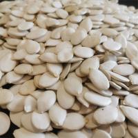 Quality Organic White Snow Pumpkin Seeds Moisture 7%max Guaranteed for sale