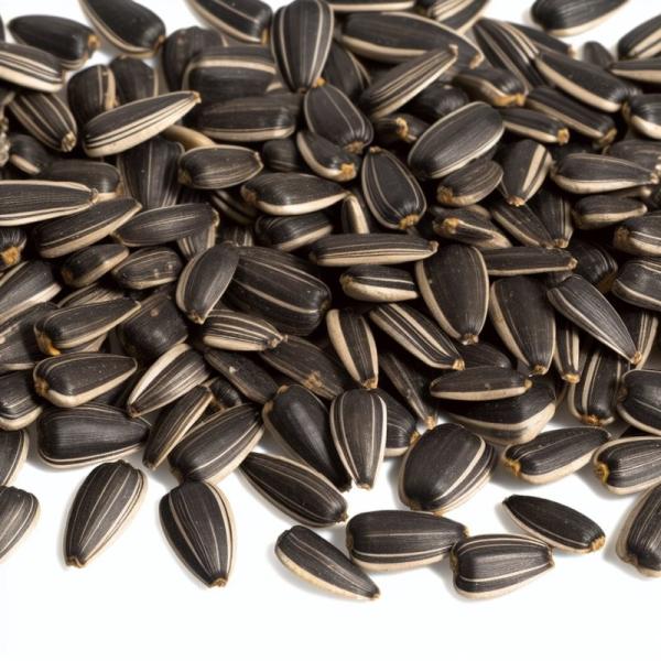 Quality wholesale Dried Sunflower Seeds Factory Direct raw Wholesale T6 Sunflower Seeds for sale