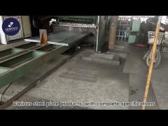 Steel plate/sheet