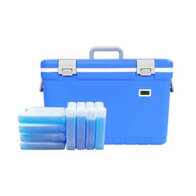 China Best Cooler with Temperature Display External Dimensions 570*305*365mm for sale