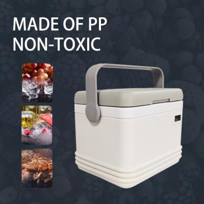 中国 カスタムカラー 12h ストレージでキャンプのためのアイスクーラーボックス 販売のため