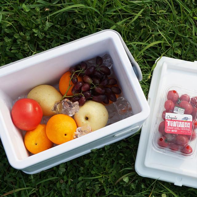 Phefon Ice Cooler Box dimensions