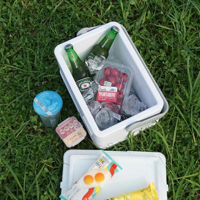 中国 キャンプやピクニック用の Phefon 8L 隔熱冷却箱 販売のため