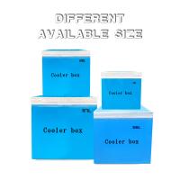 China Vacuum Insulated Panel VIP Panel+PU Foam Insulation Cooler Box Support Optional Temperature Display for sale