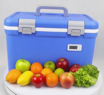 China Caixa Térmica Phefon FS-12L - Cooler com Isolamento de Espuma de Poliuretano de 12L para Uso Externo à venda