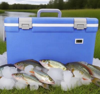 China Caixa de arrefecimento de gelo de 30 litros para acampamento, churrasco e piquenique - armazenamento a frio de 48 horas à venda
