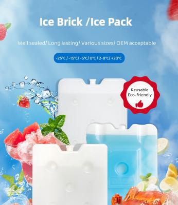 China 300ml-1L Reusable Gel Ice Packs for Coolers & Lunch Boxes for sale