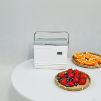 Китай Термобокс Phefon FS-5L с аккумуляторами холода для кемпинга и пикников продается