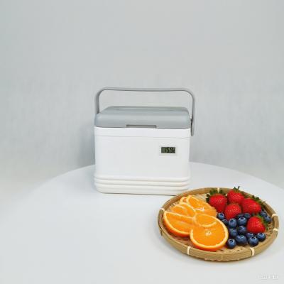 Китай Портативная коробка для охлаждения льдом 220x160x160 мм с пачками для льда от -25°C до 25°C продается