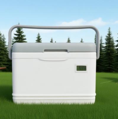 Китай Портативная коробка с холодильником для кемпинга с охлаждением 12 часов продается