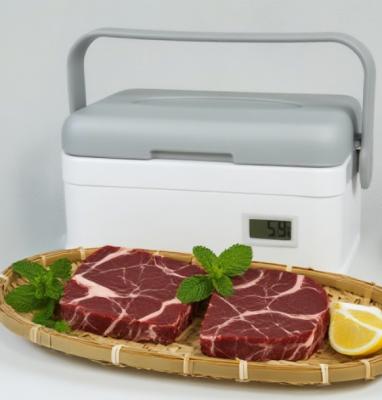 Китай Переносной изотермический контейнер для кемпинга с индивидуальным цветом, сохранение холода до 12 часов продается