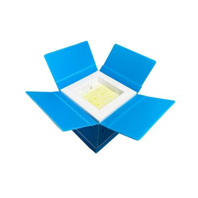 China -25~-15°C PCM Temperature Control Vacuum Insulation VIP Insulation Cold Box Durable Thermal Packaging For Frozen Pharmaceutical Transport for sale