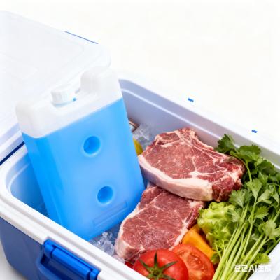 中国 カスタマイズされた金型サポートが提供するPCM保冷剤 -15～-25℃温度範囲 販売のため