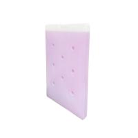 China Customize Design Support PCM Eutectic Plate PCM Ice Pack Innovative Thermal Management Solution For Cold Chain Logistics for sale