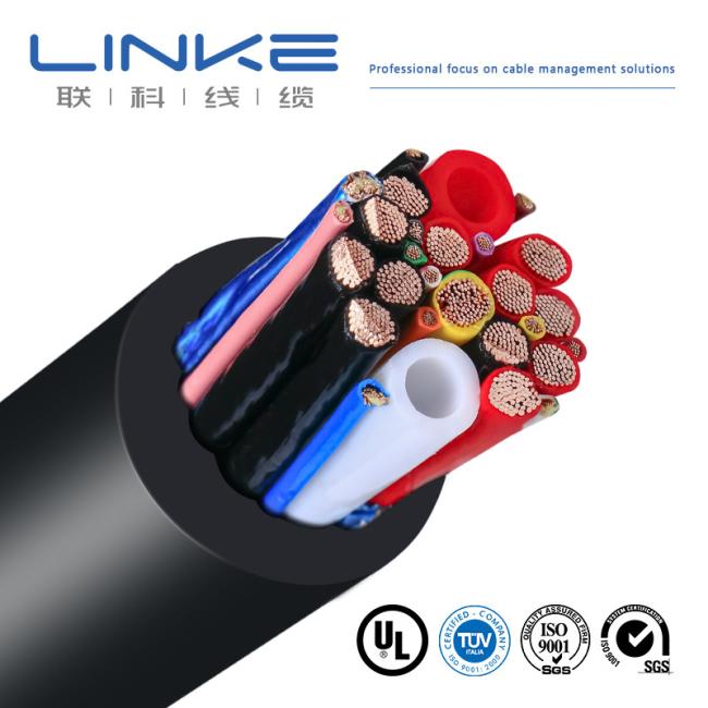 E538592 Eve Evjt 48A 32A Portable Electric Vehicle Charger Cable for J1772 Connector