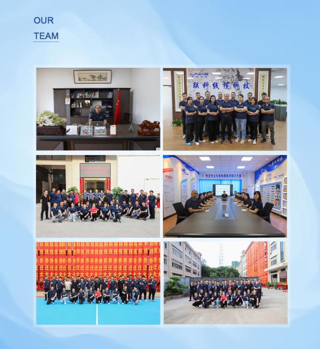 Customized High Quality Shielded Automotive Standard Wire EV Hv Automotive Power Cable