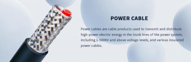 FEP/PVC Insulation Tinned Copper Armoured Underground Electric Power Cable for Electronic Equipment