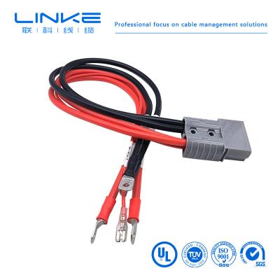 China Plug connector 8AWG solar panel connector cable 50A/600V Ads port adapter 300mm solar connector cable for sale