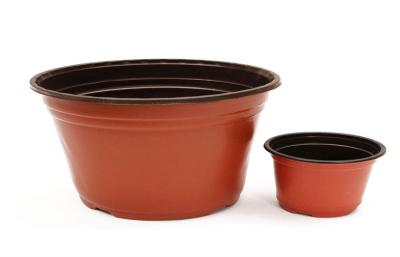 China Blumen-Quadrat-Plastikblumentöpfe zu verkaufen