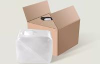 China LDPE Packaging Collapsible 5 Litre 10 Litre Plastic Can 1.25 Gallons Cubitainer for sale