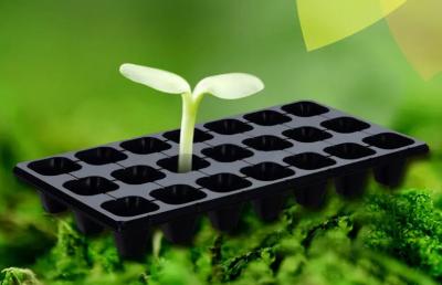 China Black Vegetable Plant Seed Plastic Propagation Starter Seedling Trays 21 Cells for sale